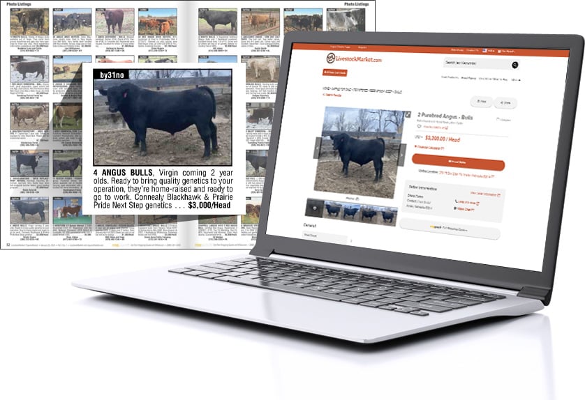 Sell Your Livestock & Hay On LivestockMarket.com